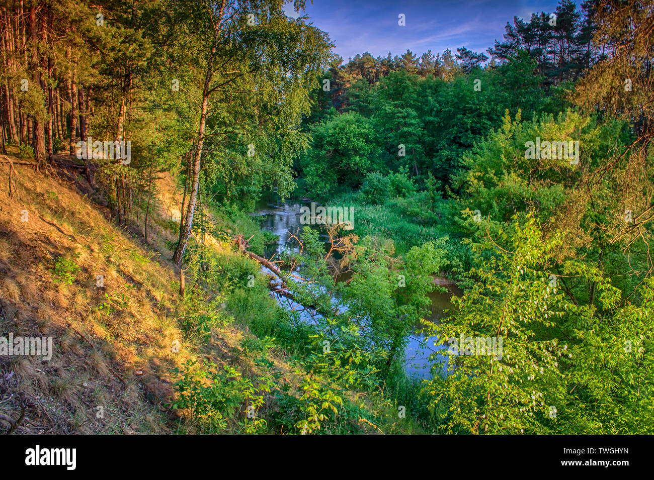 Mysterious River Grabia in spring day, Poland Stock Photo - Alamy