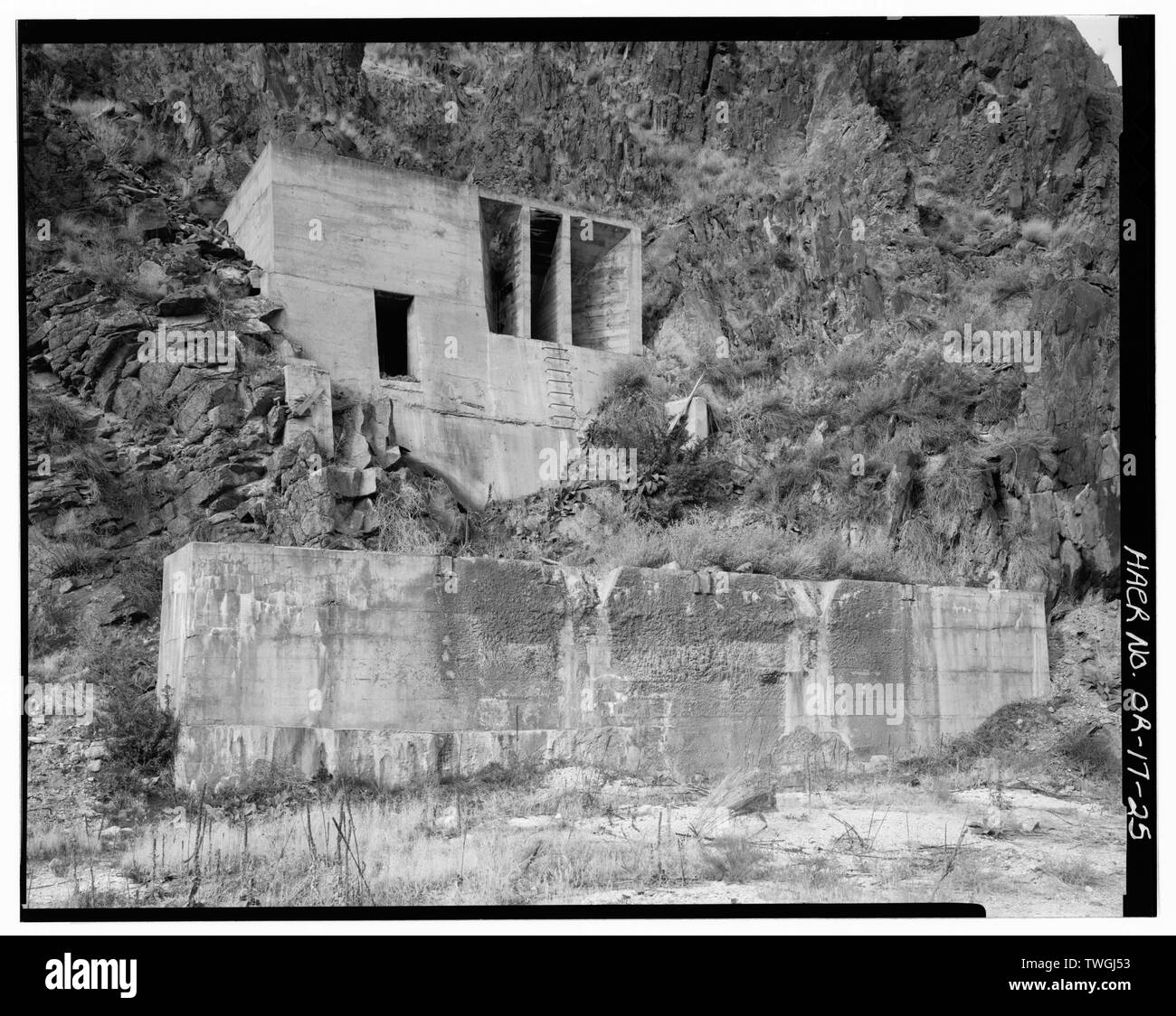 Riverbank plant Black and White Stock Photos & Images - Alamy