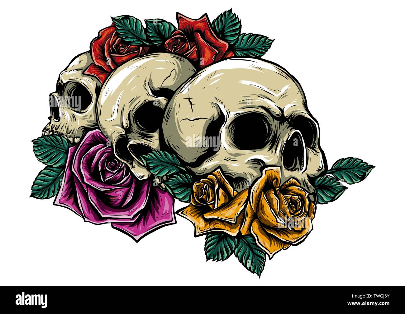 A human skulls with roses on white background Stock Vector Image & Art ...