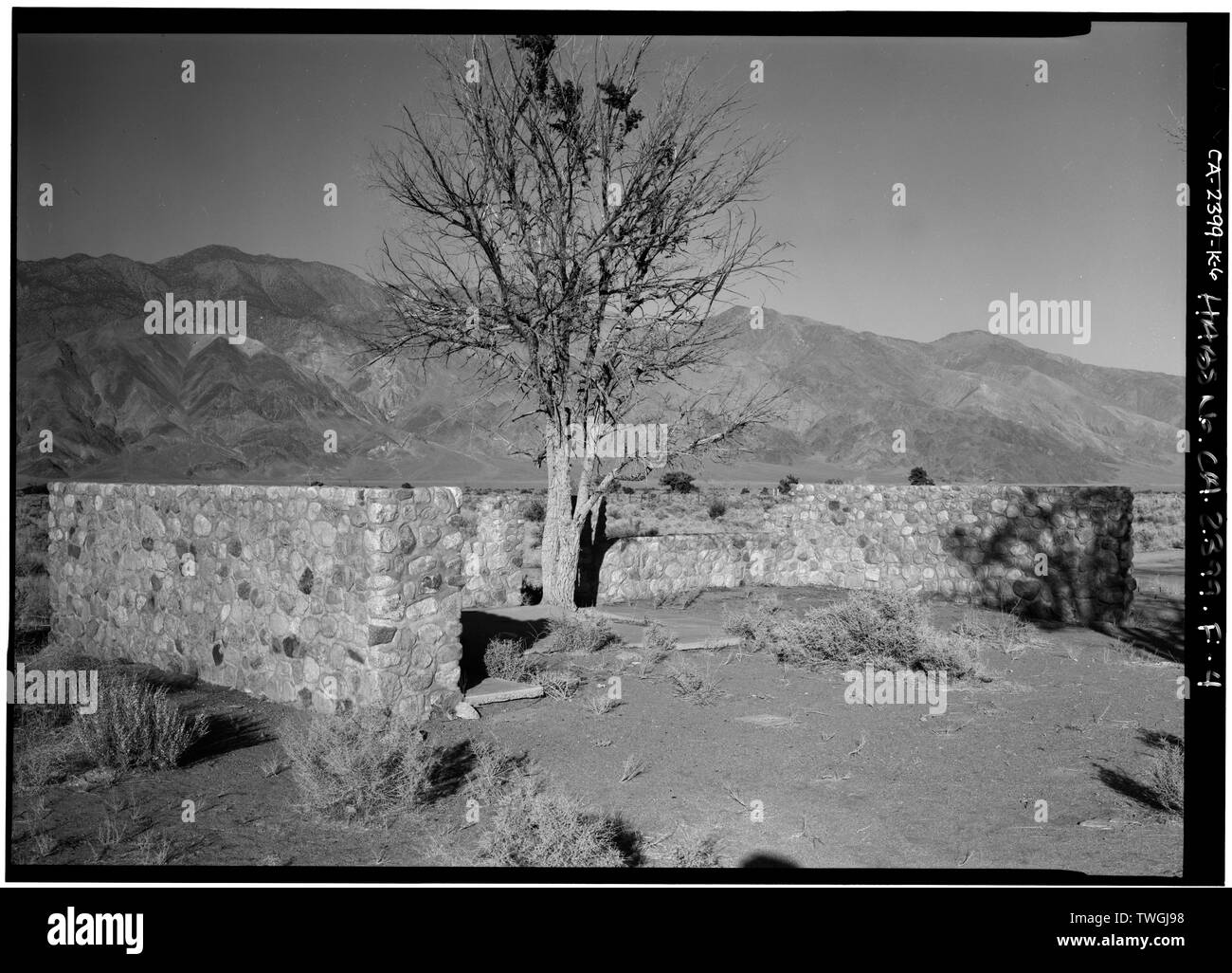 Relocation conflict Cut Out Stock Images & Pictures - Alamy