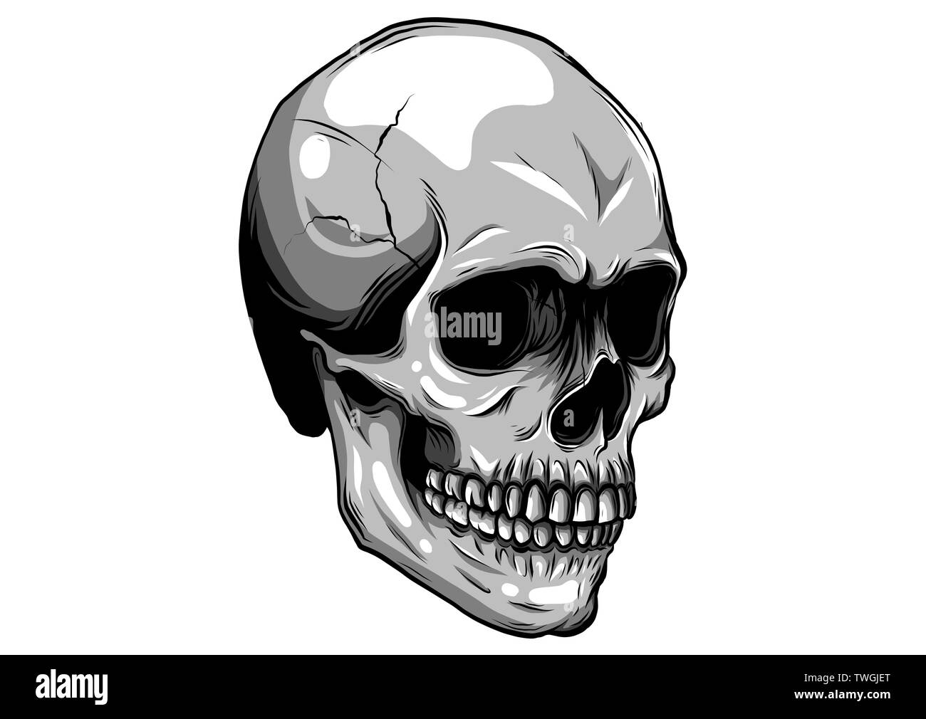 outline vector skull in black illustration design Stock Vector Image ...
