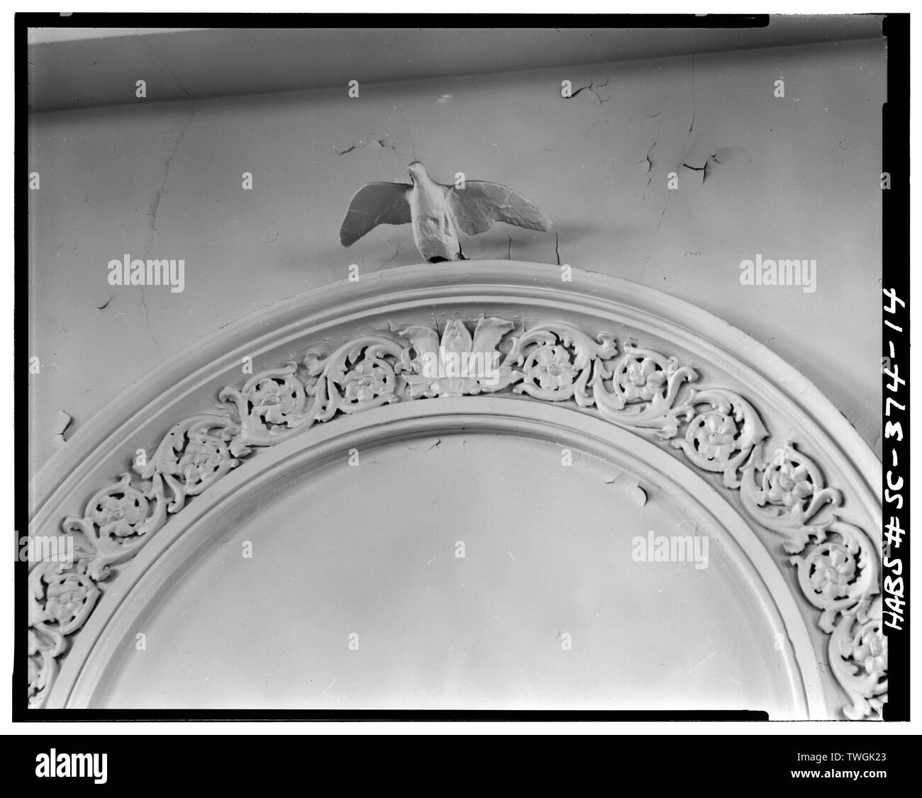 Carolina spring Cut Out Stock Images & Pictures - Alamy