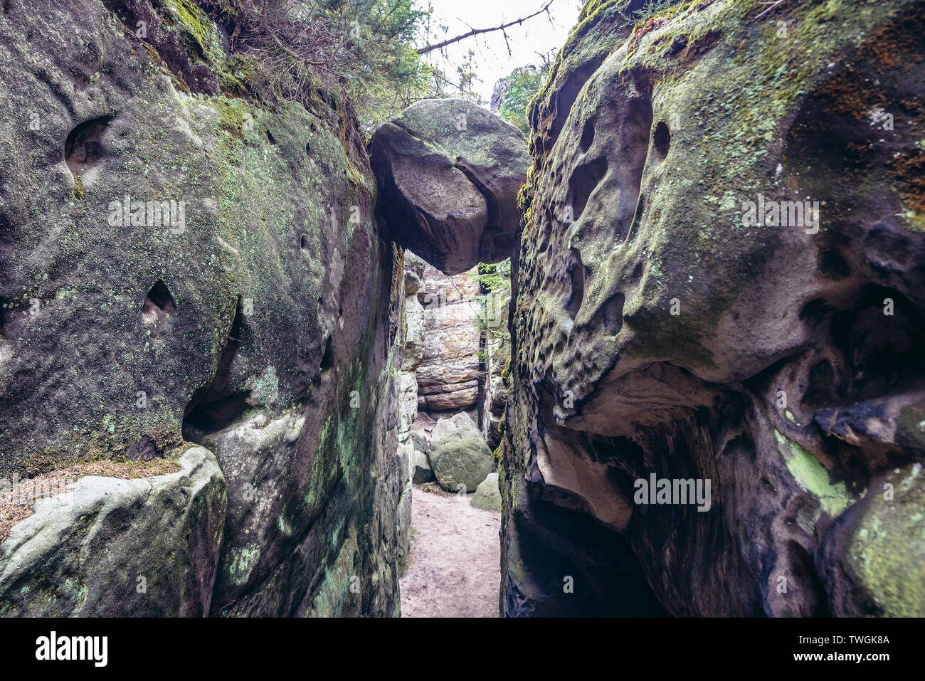 Rock maze in Ostas Nature Reserve in Table Mountains range in Czech ...