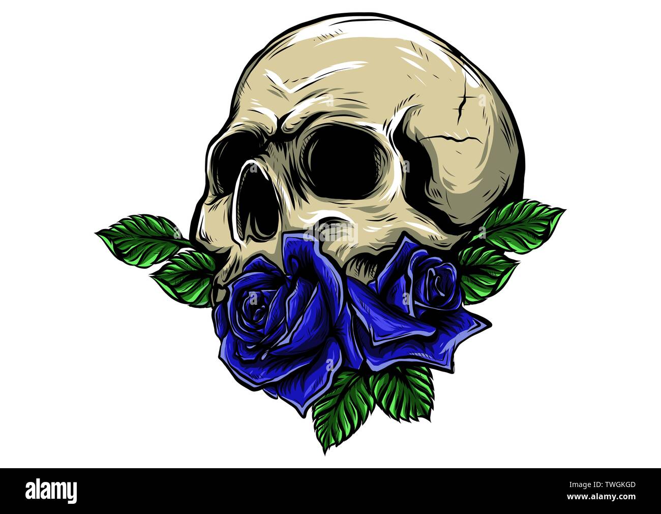 A human skulls with roses on white background Stock Vector Image & Art ...