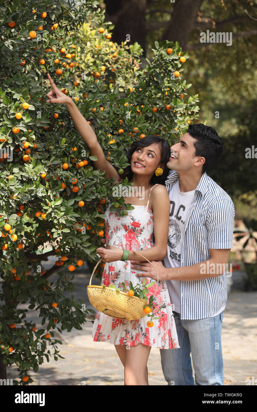 Woman plucking fruits hi-res stock photography and images - Alamy