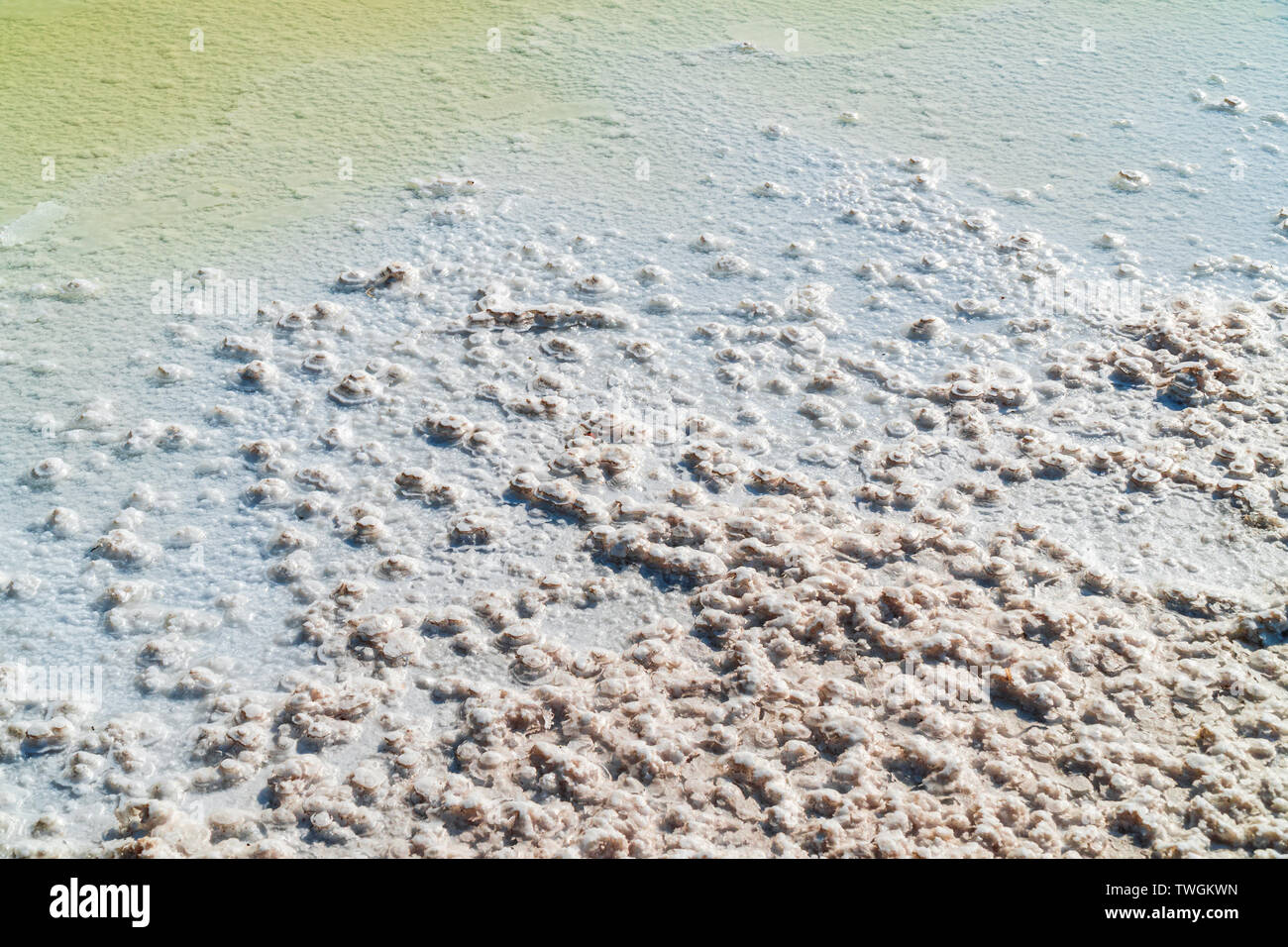 Salt lake, crystals of natural salt Stock Photo - Alamy