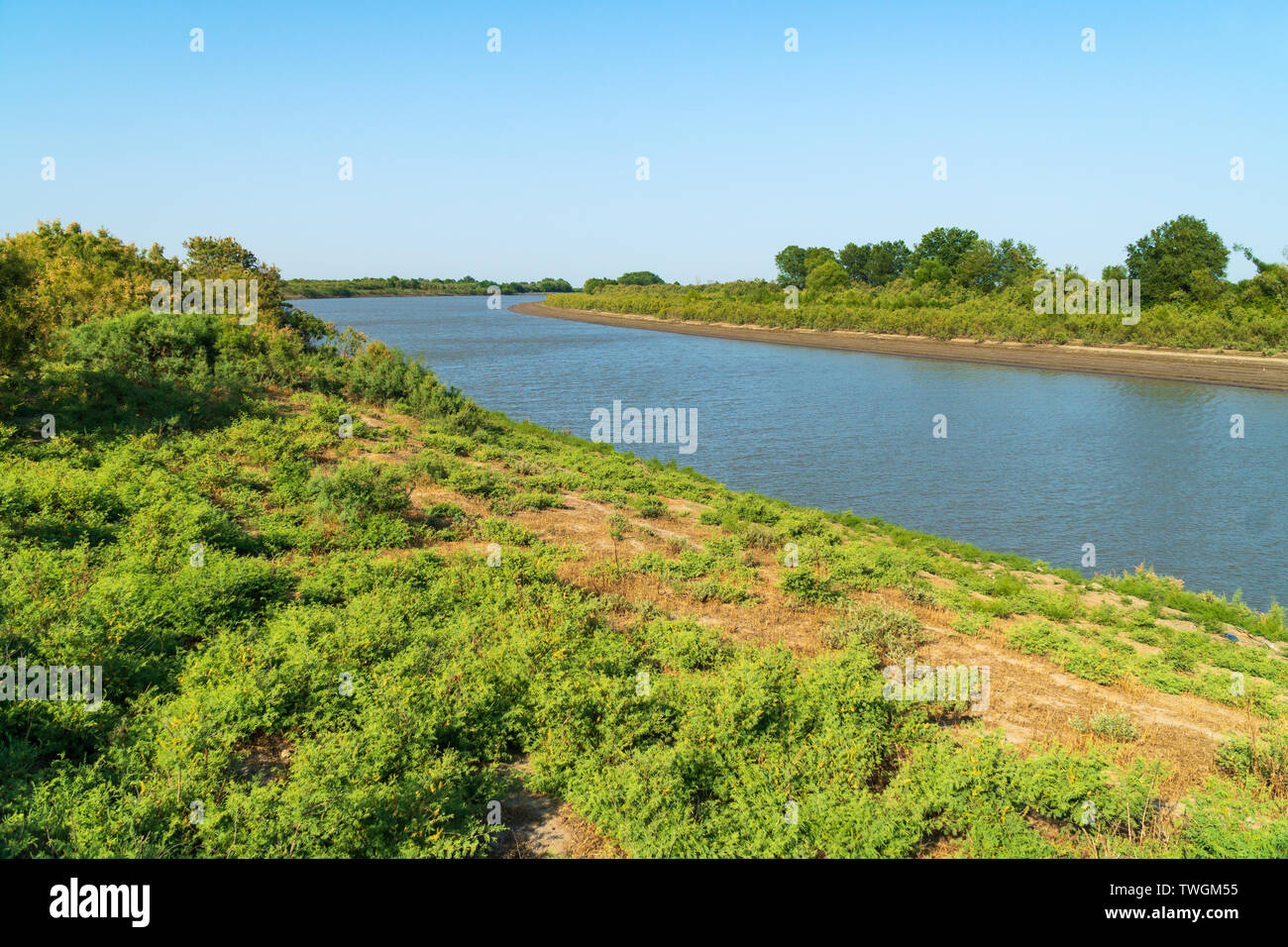 Coast of a wide flat river Stock Photo - Alamy