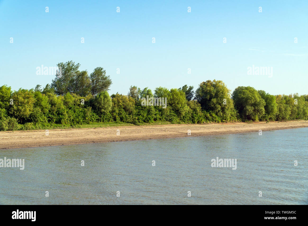 Coast of a wide flat river Stock Photo - Alamy