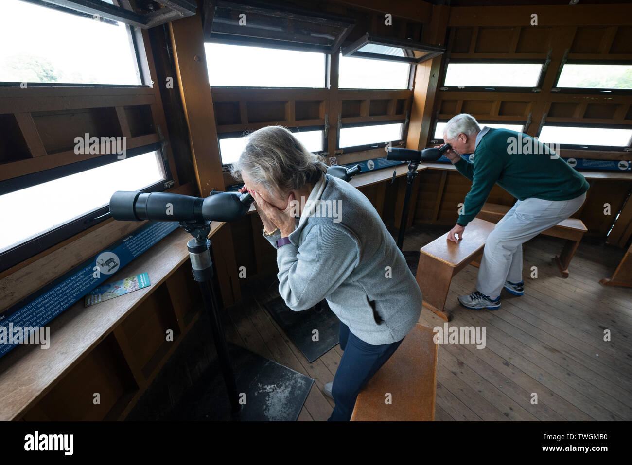 Scottish birdwatching hi-res stock photography and images - Alamy