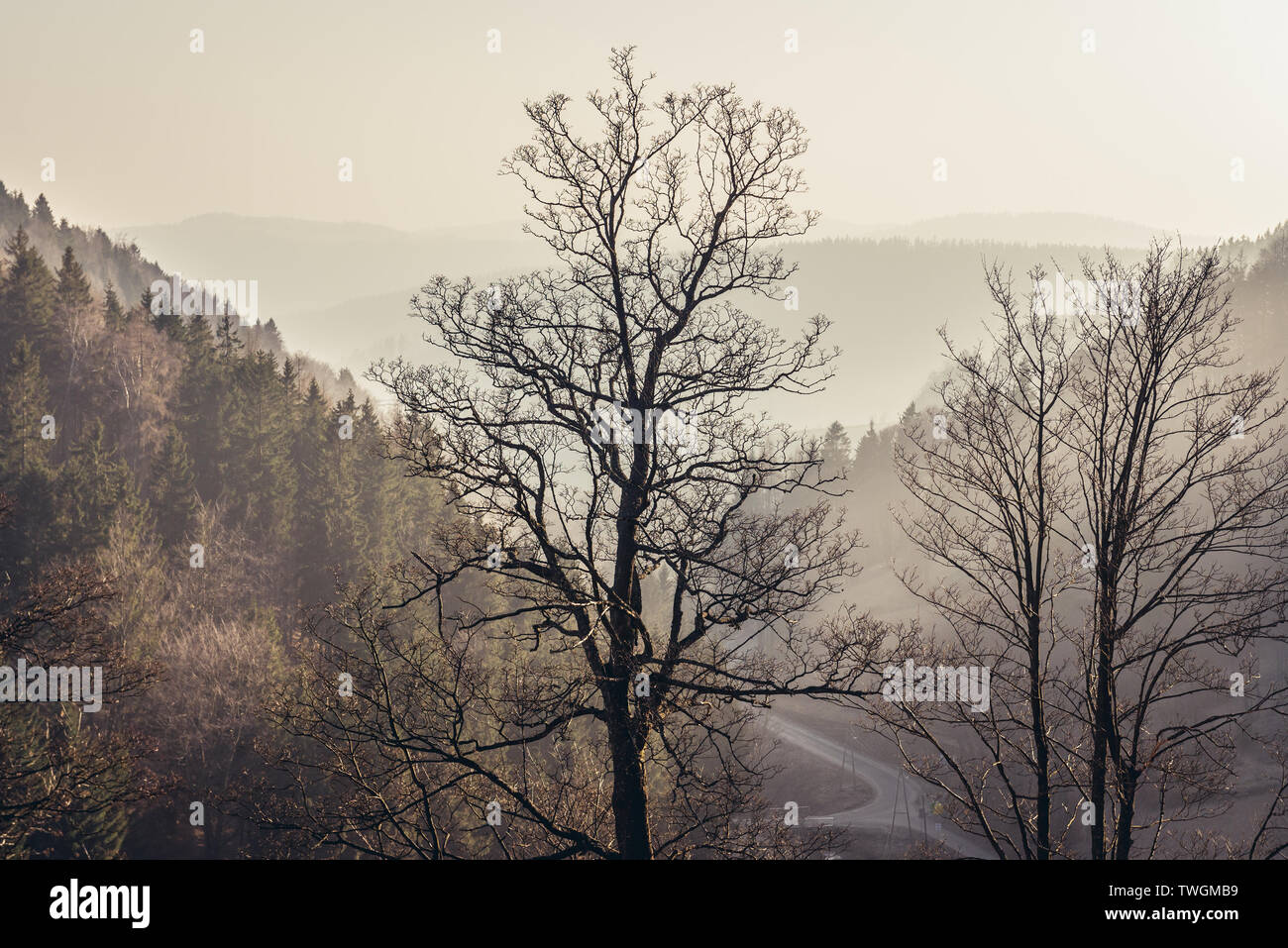 Aerial view in Sokolec village in Landscape Park of Gory Sowie (Owl ...