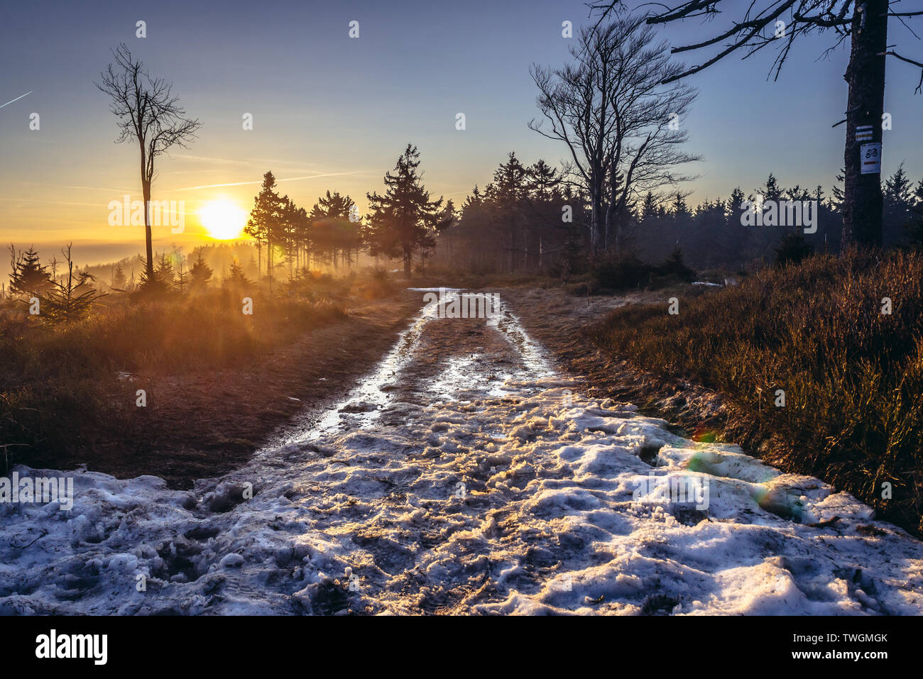 Trail on Wielka Sowa (Great Owl) mount in Landscape Park of Gory Sowie ...