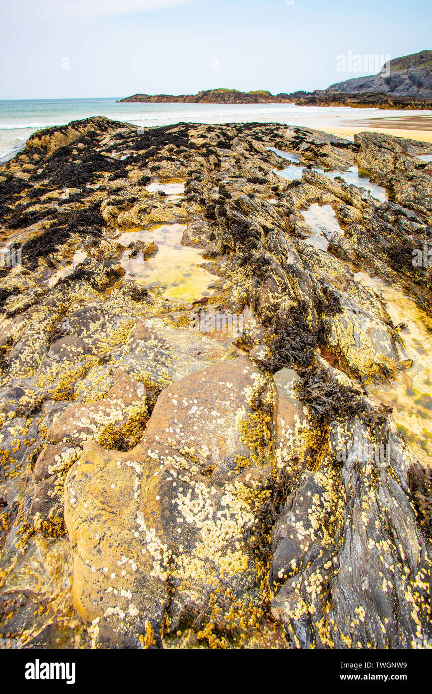 The beach at Kiloran Bay, Colonsay, Hebrides, Scotland Stock Photo - Alamy