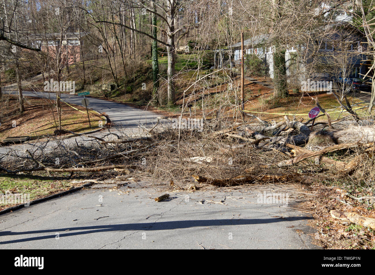 Tree blocking road sign hi-res stock photography and images - Alamy
