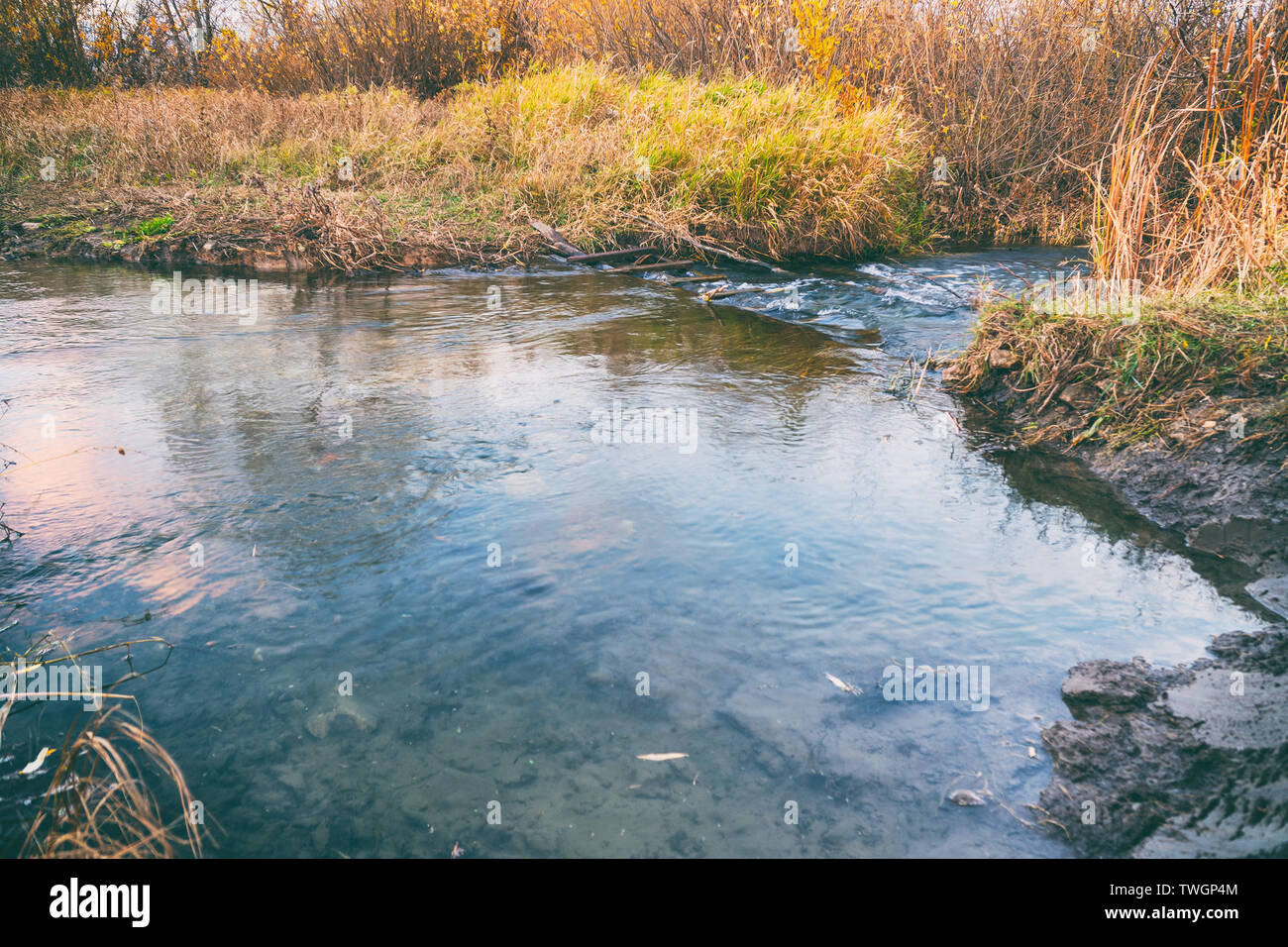 Water flows in a small river Stock Photo - Alamy