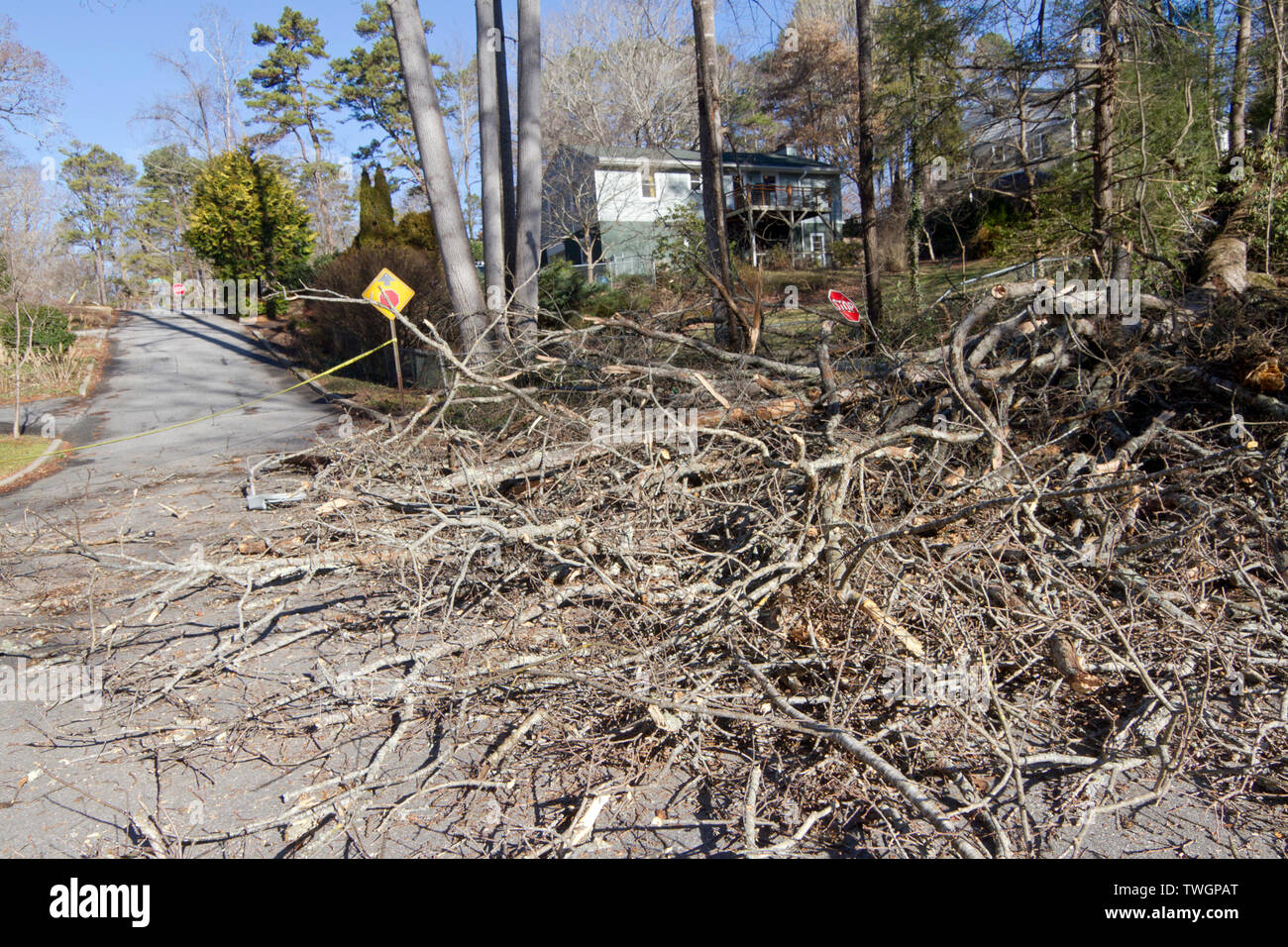 Police tape warns of a large tree fallen on a neighborhood street ...