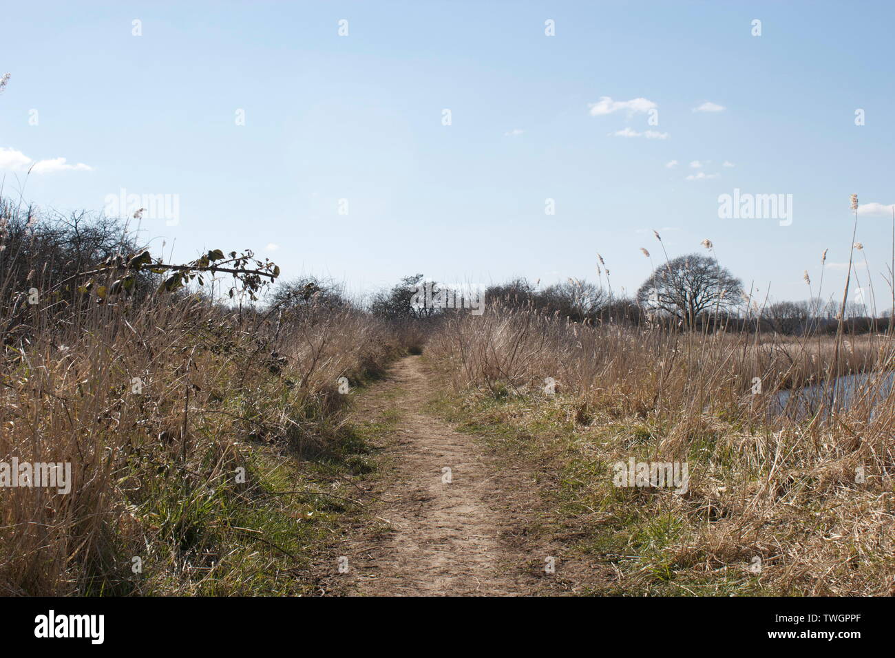 Low view path walk hi-res stock photography and images - Alamy