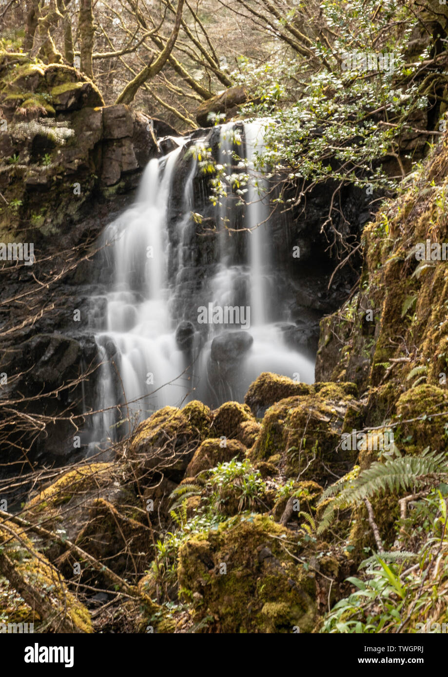 Mull island scotland 2019 hi-res stock photography and images - Alamy