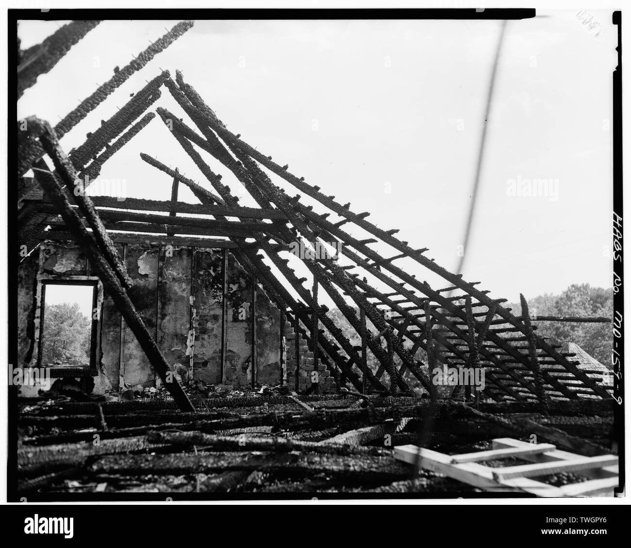 ROOF FRAME, TAKEN FROM NORTH, SHOWING ADDITION OF THE RAFTERS OF THE ...