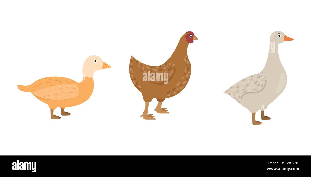 Poultry fodder Stock Vector Images - Alamy