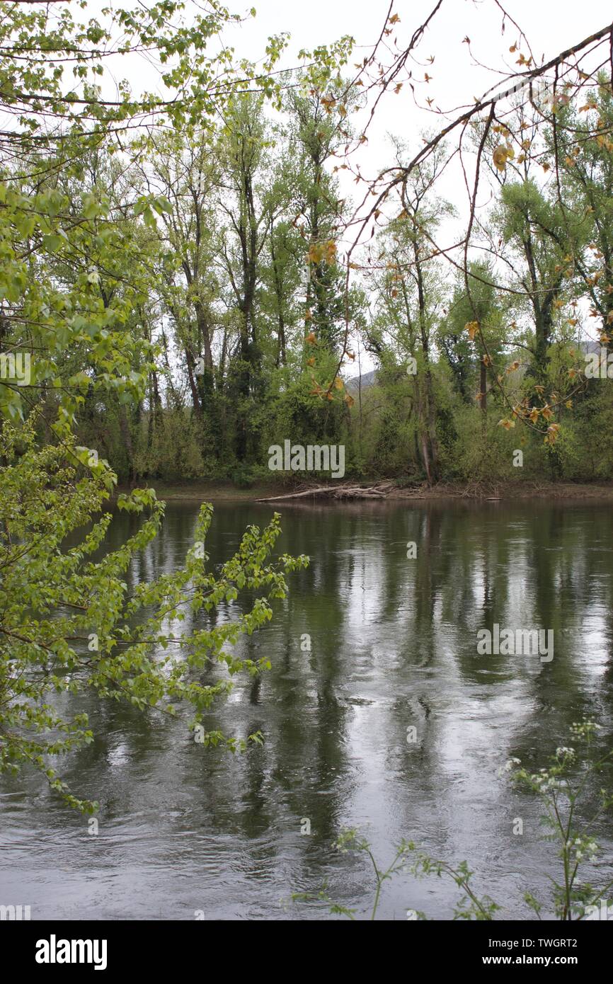 Overhanging trees hi-res stock photography and images - Alamy