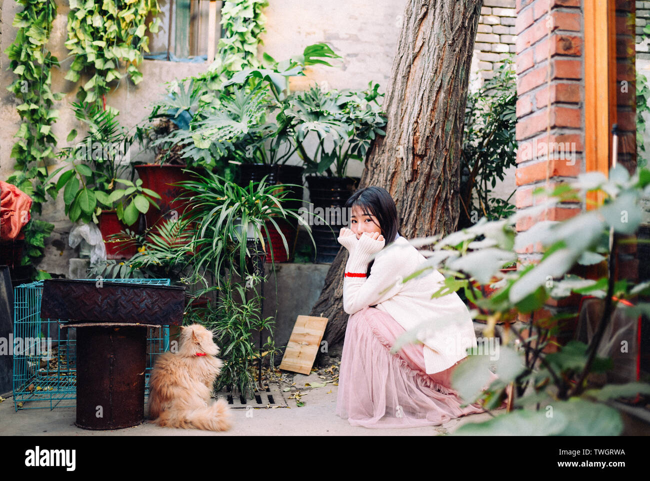 Night view, portrait Stock Photo - Alamy