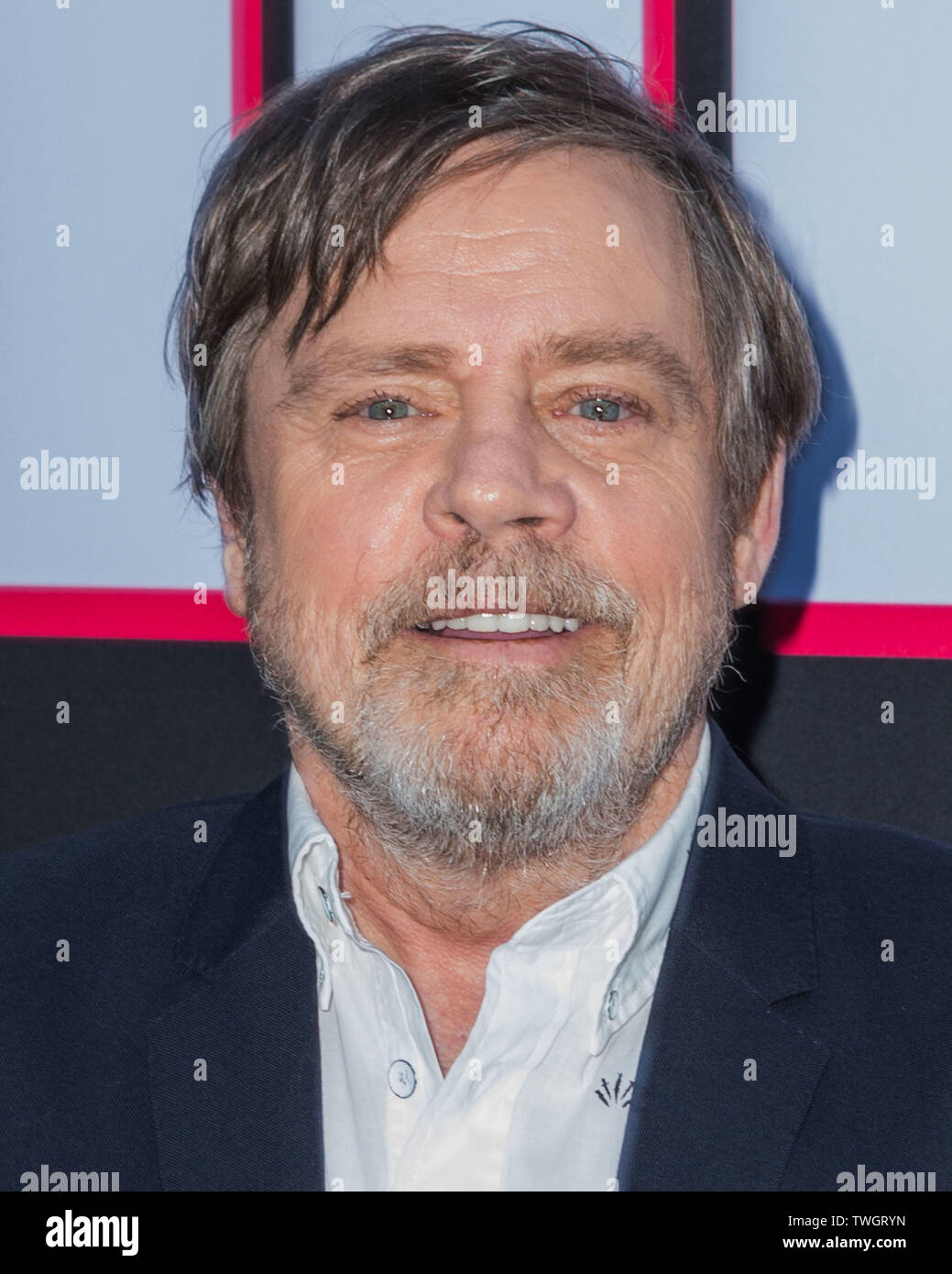 Hollywood, United States. 19th June, 2019. HOLLYWOOD, LOS ANGELES ...