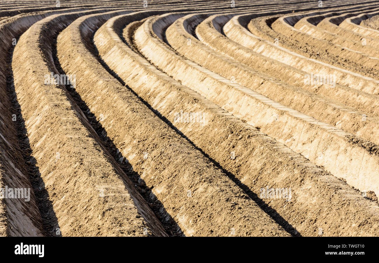 Curved furrows hi-res stock photography and images - Alamy