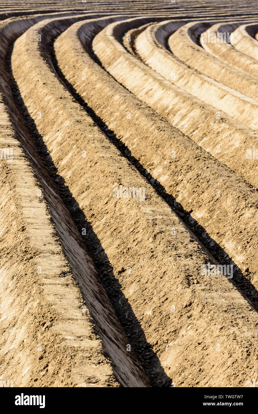 Curved furrows hi-res stock photography and images - Alamy
