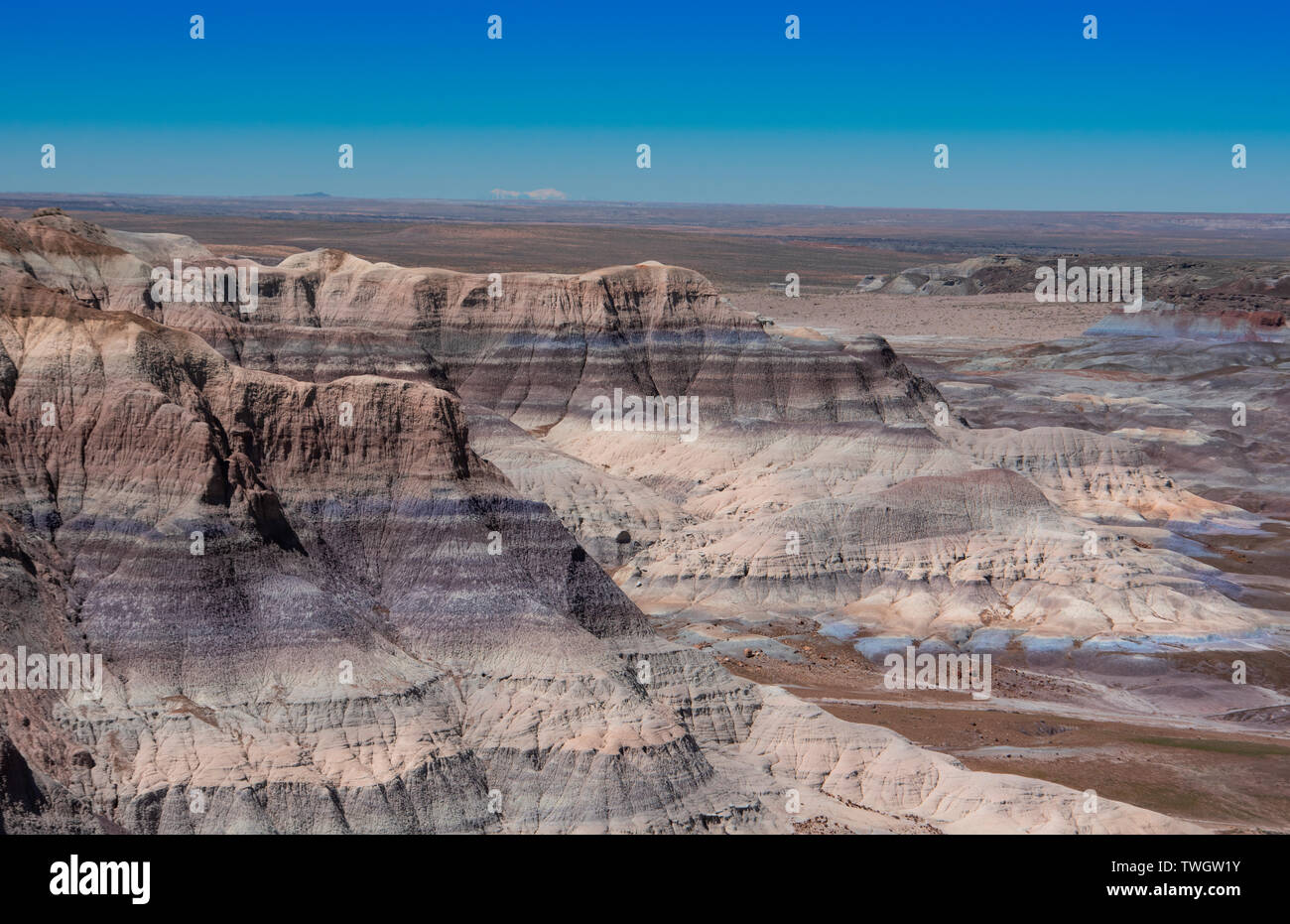 Beautiful desert mesa hi-res stock photography and images - Alamy