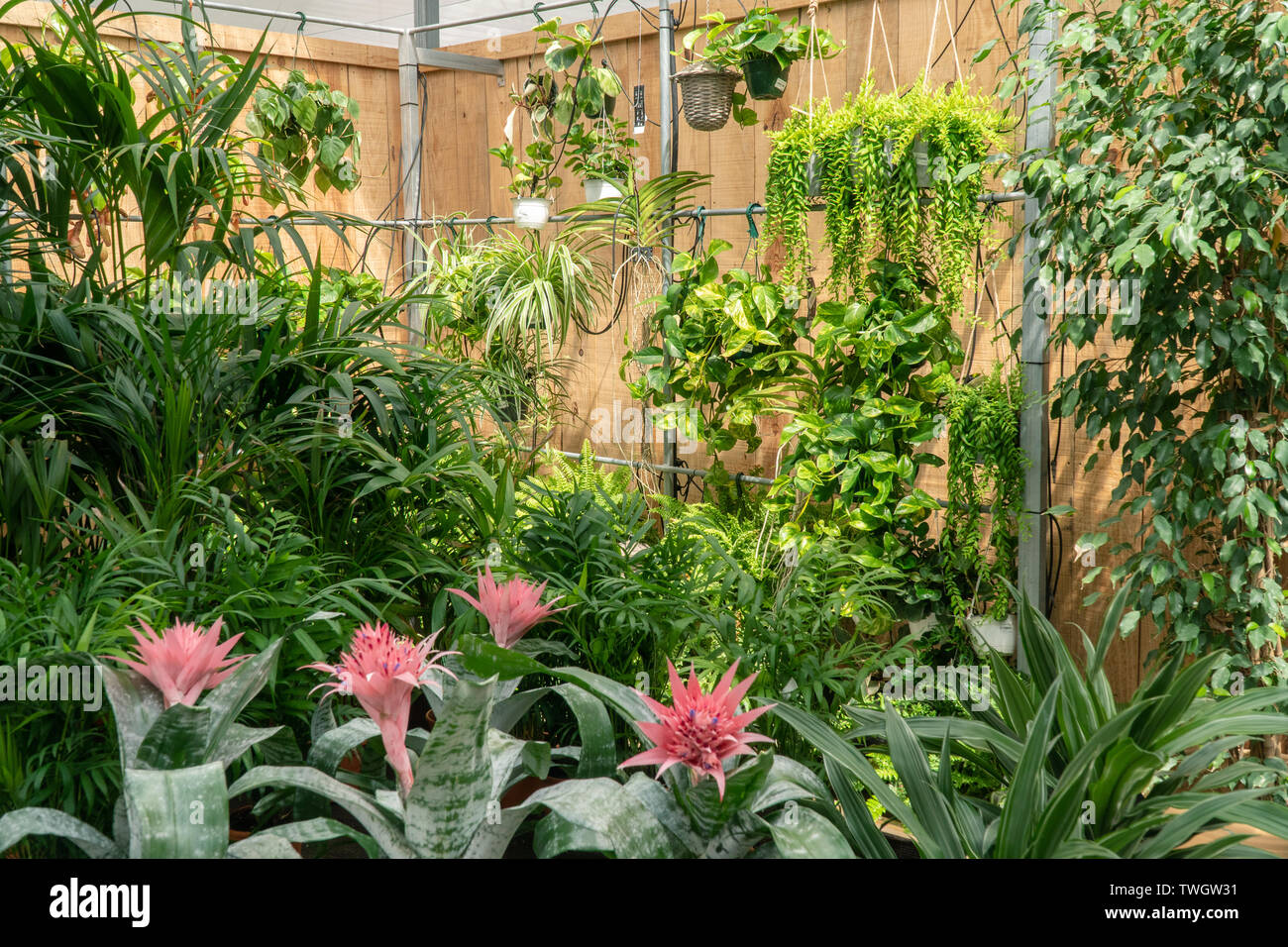 Garden store center. Gardening concept Stock Photo - Alamy
