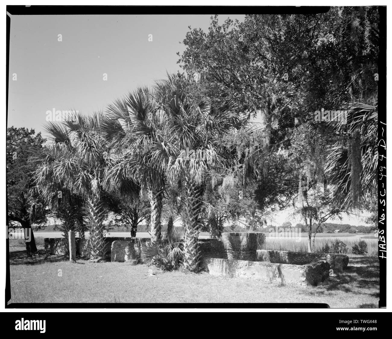 RUINS OF COTTON GIN BUILDING. THE FOUNDATION IS MADE OF TABBY ...