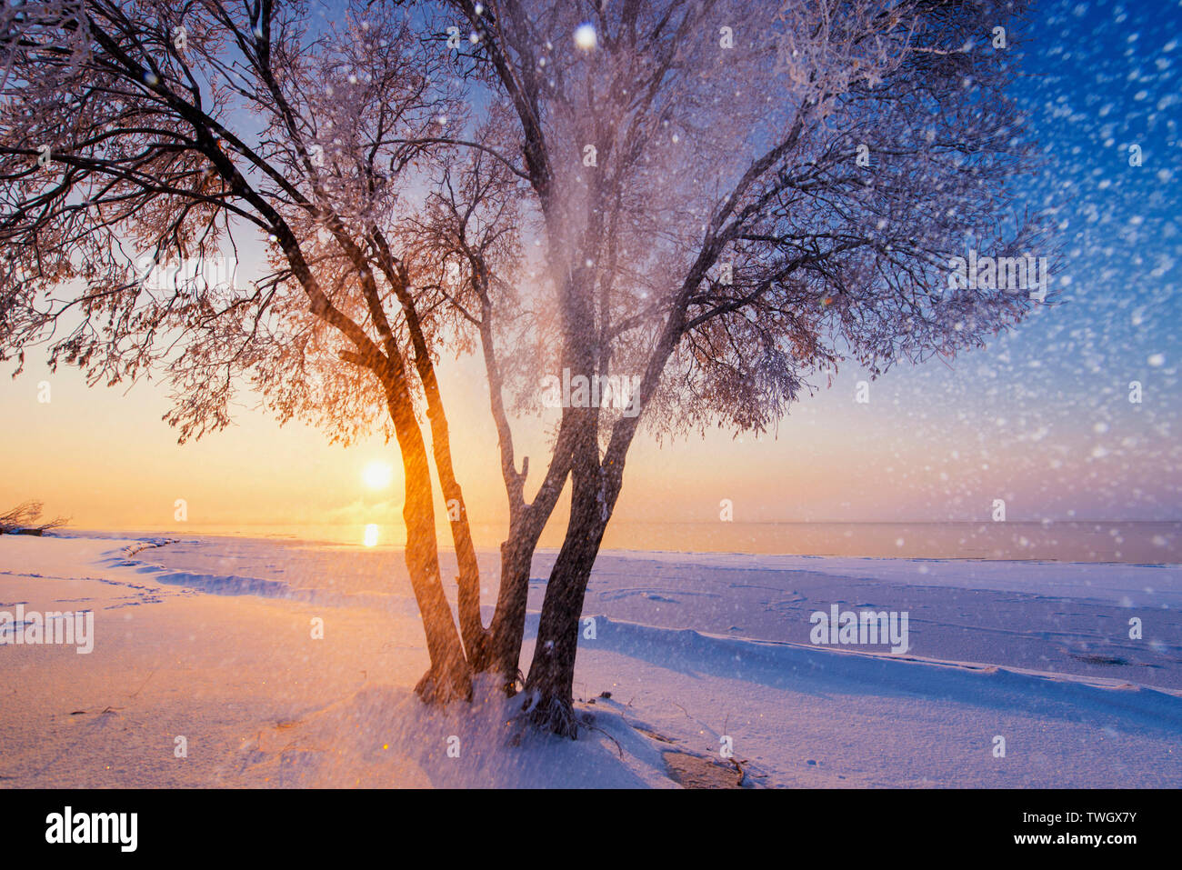 Early winter in Xingkai Lake. Ice period from late November to early ...