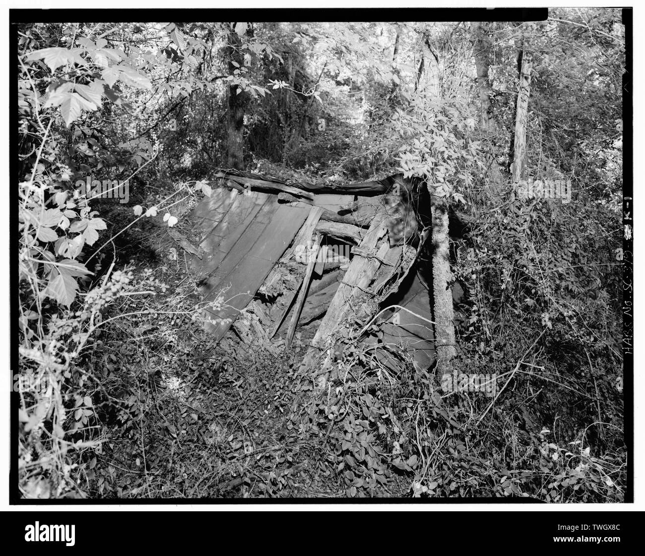 Hog pen Cut Out Stock Images & Pictures - Alamy