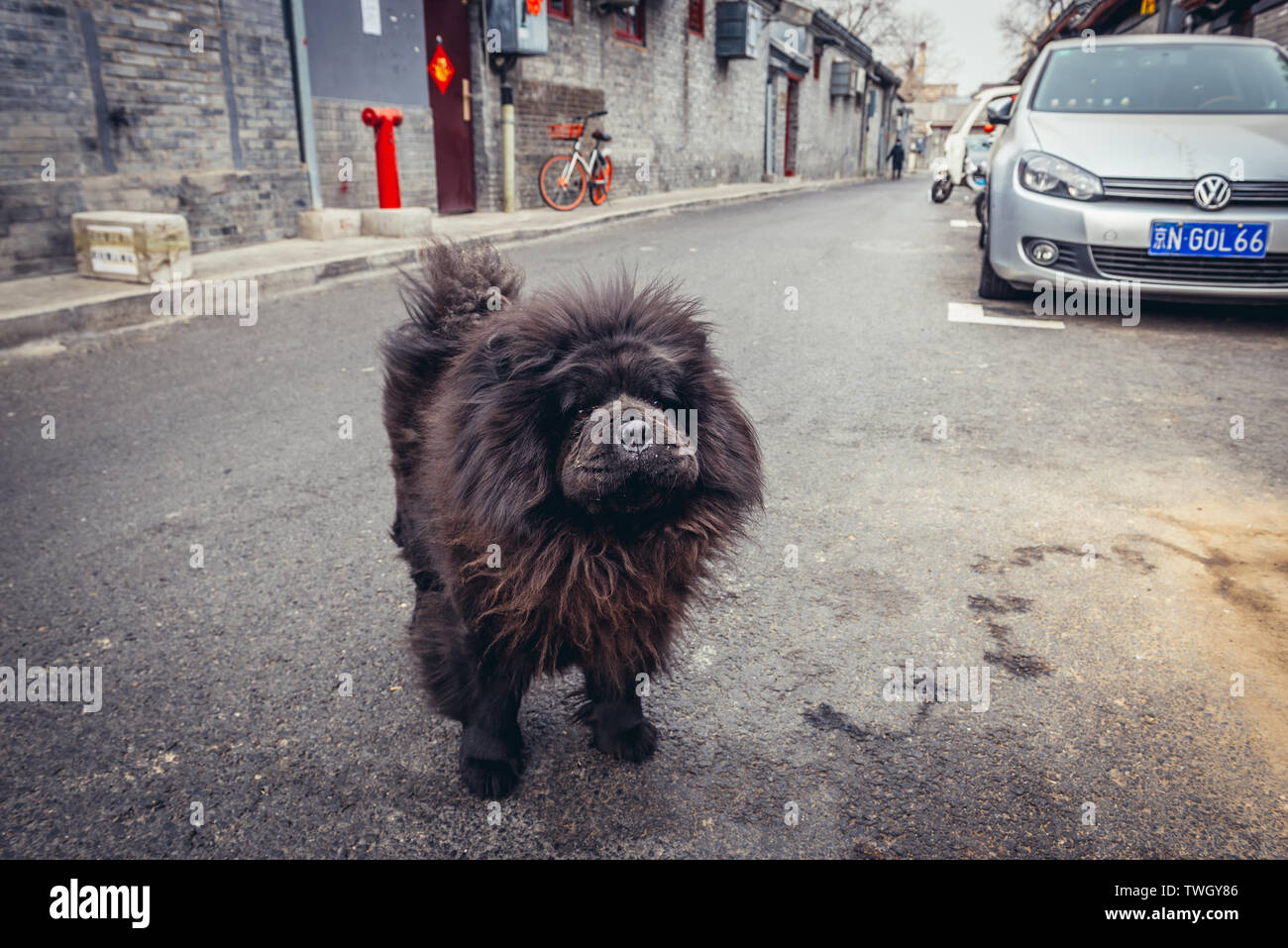 Residential beijing hi-res stock photography and images - Alamy
