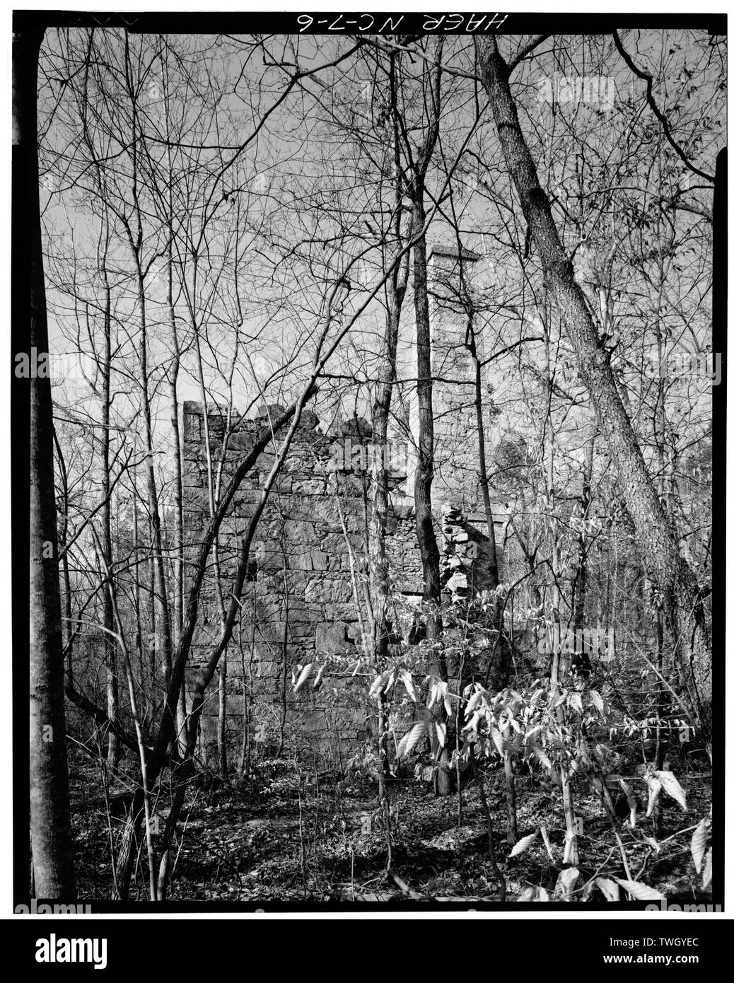 Randall page Cut Out Stock Images & Pictures - Alamy