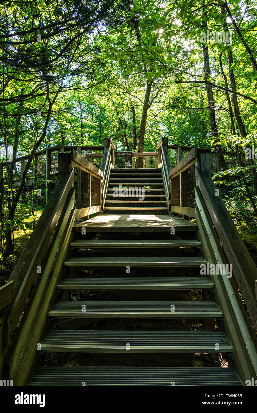 wooden stairs in the springtime at starved rock state park, Illinois ...