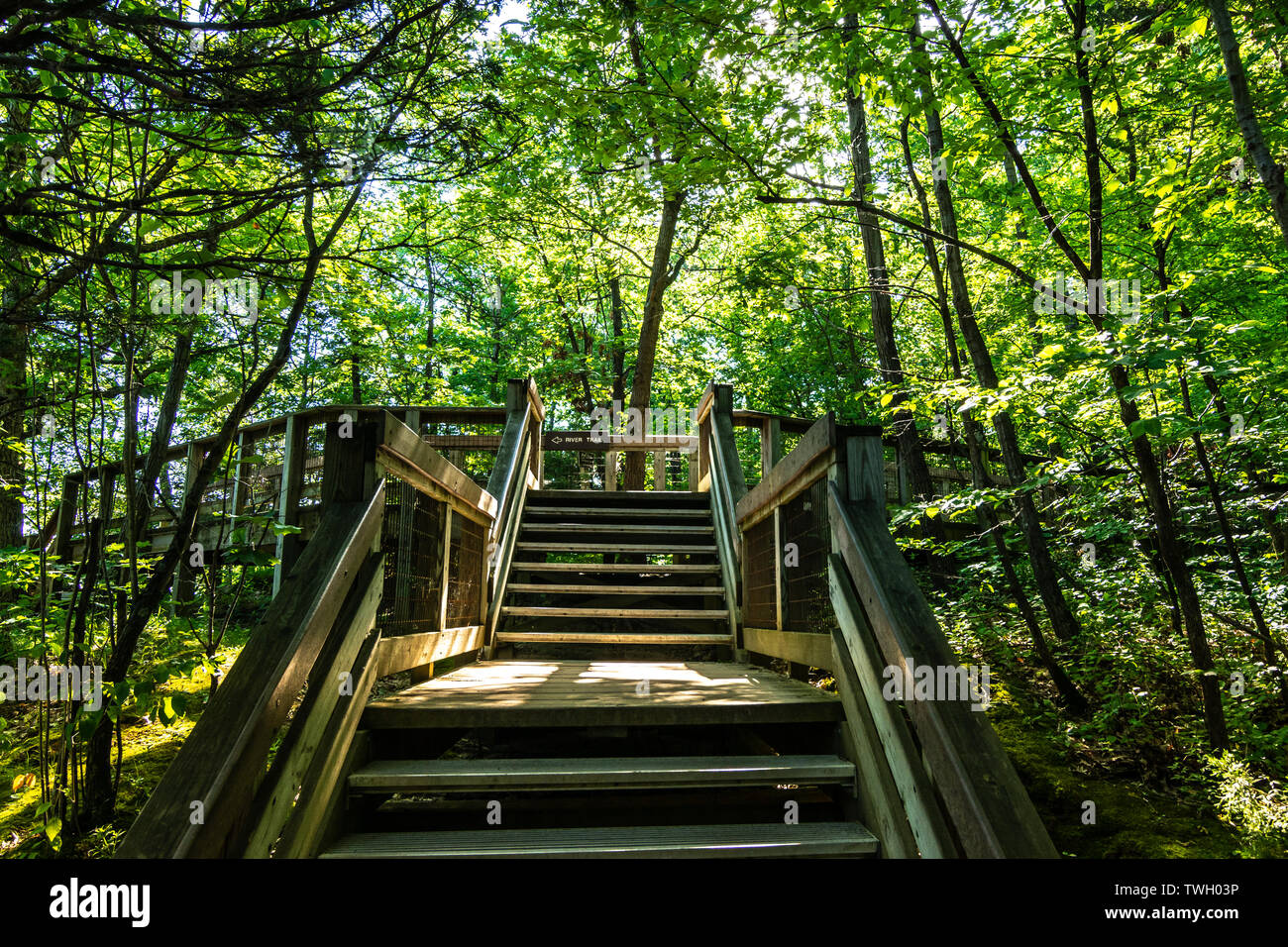 wooden stairs in the springtime at starved rock state park, Illinois ...