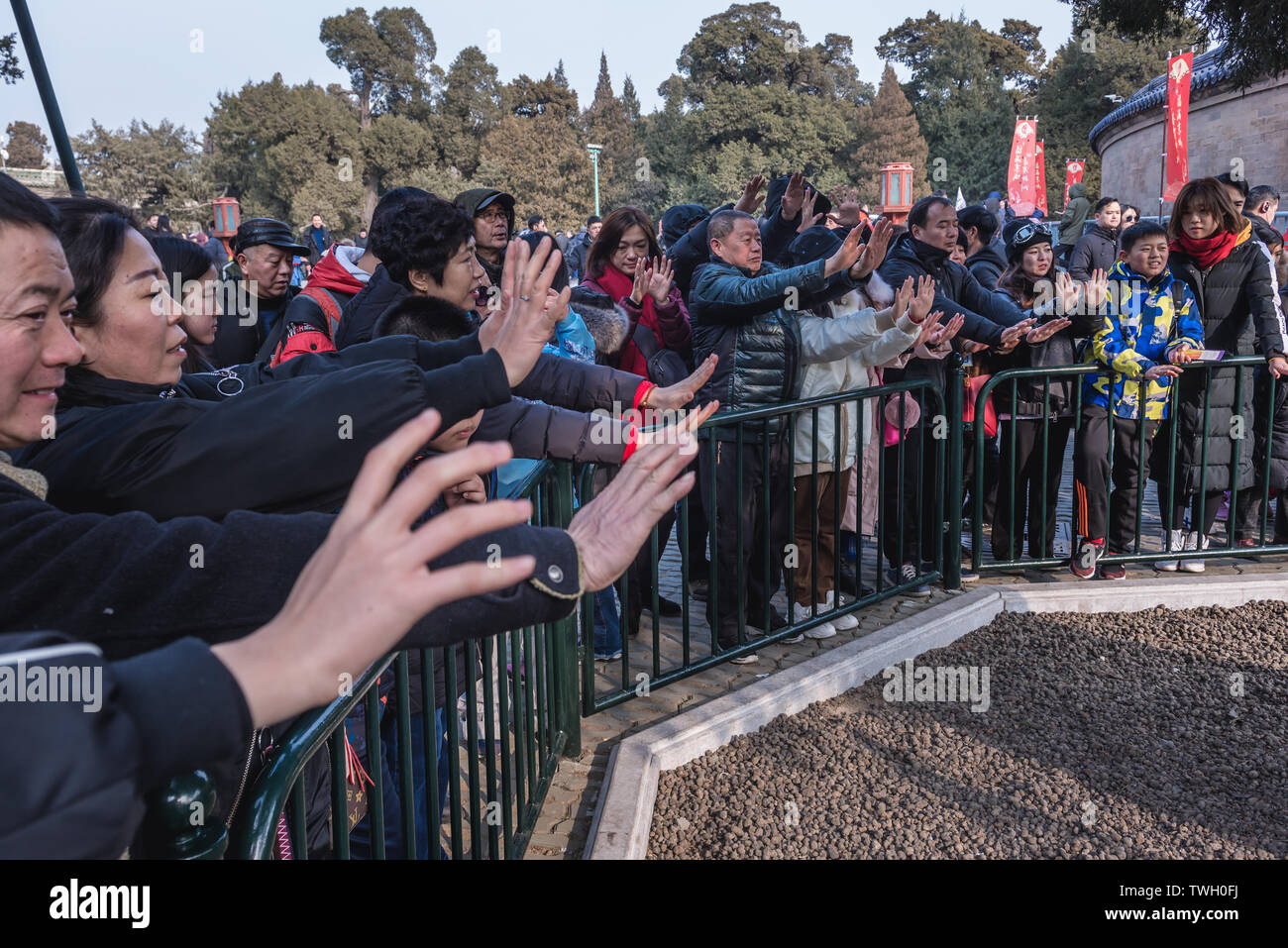 Tourists in sfront of o called Nine Dragons cypress - more than 500 ...