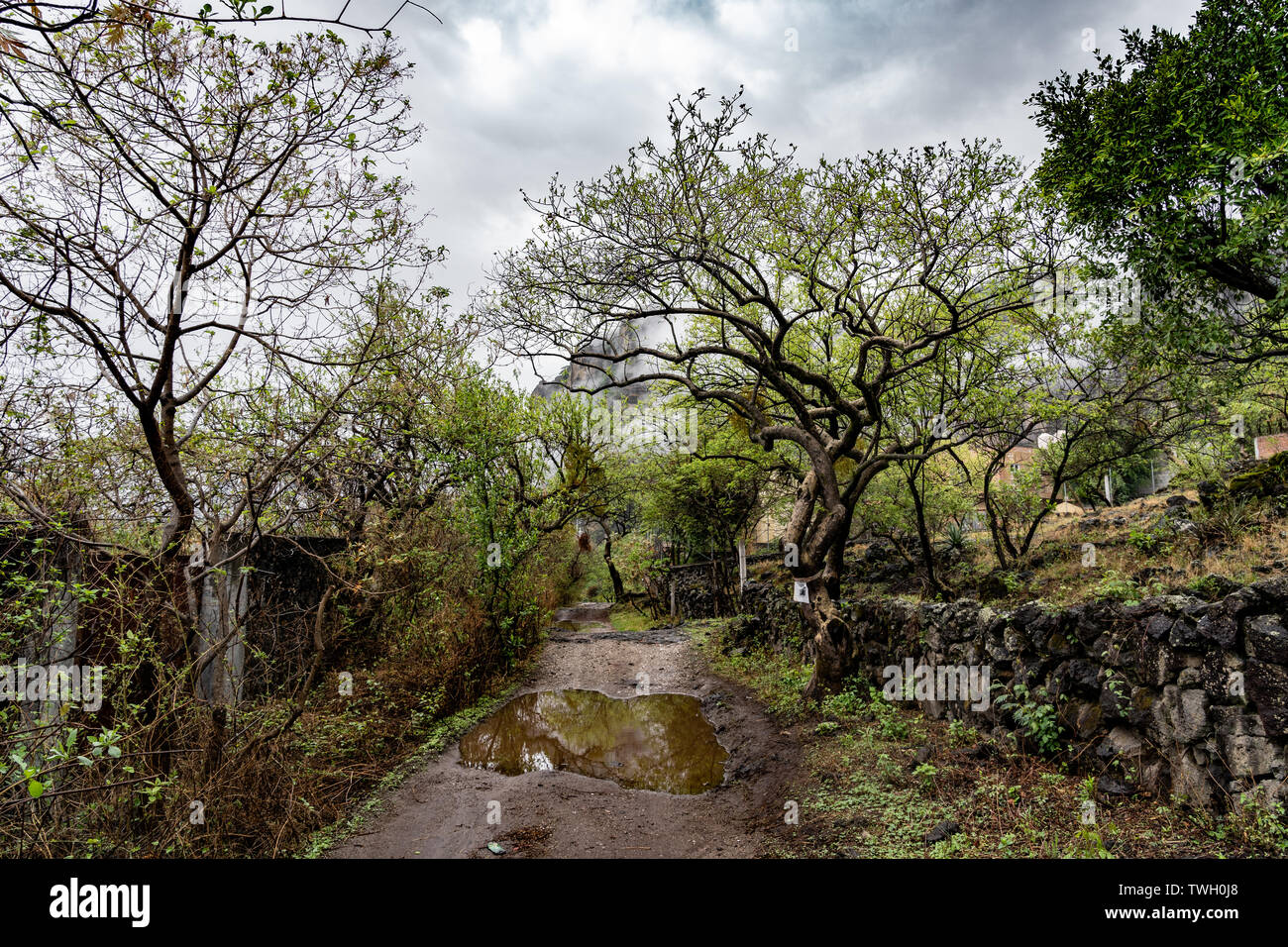 Natural place hi-res stock photography and images - Alamy