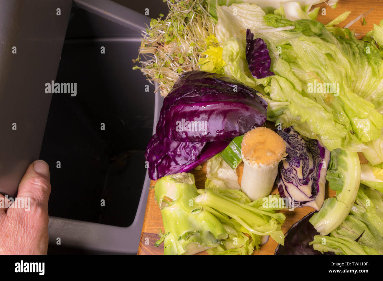 Food waste bin kitchen hi-res stock photography and images - Alamy