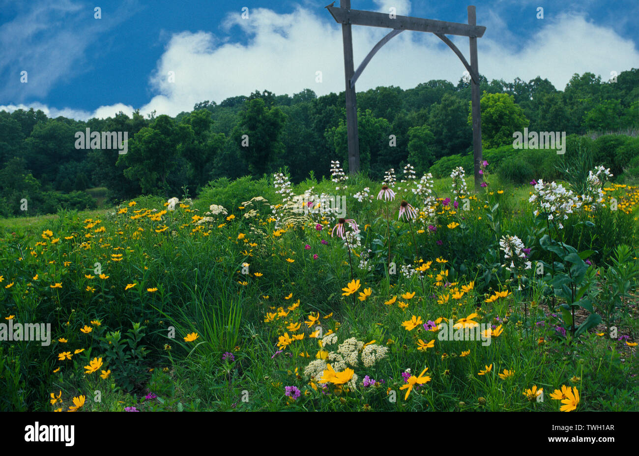 Entrance gate to native prairie garden with blooming native missouri ...