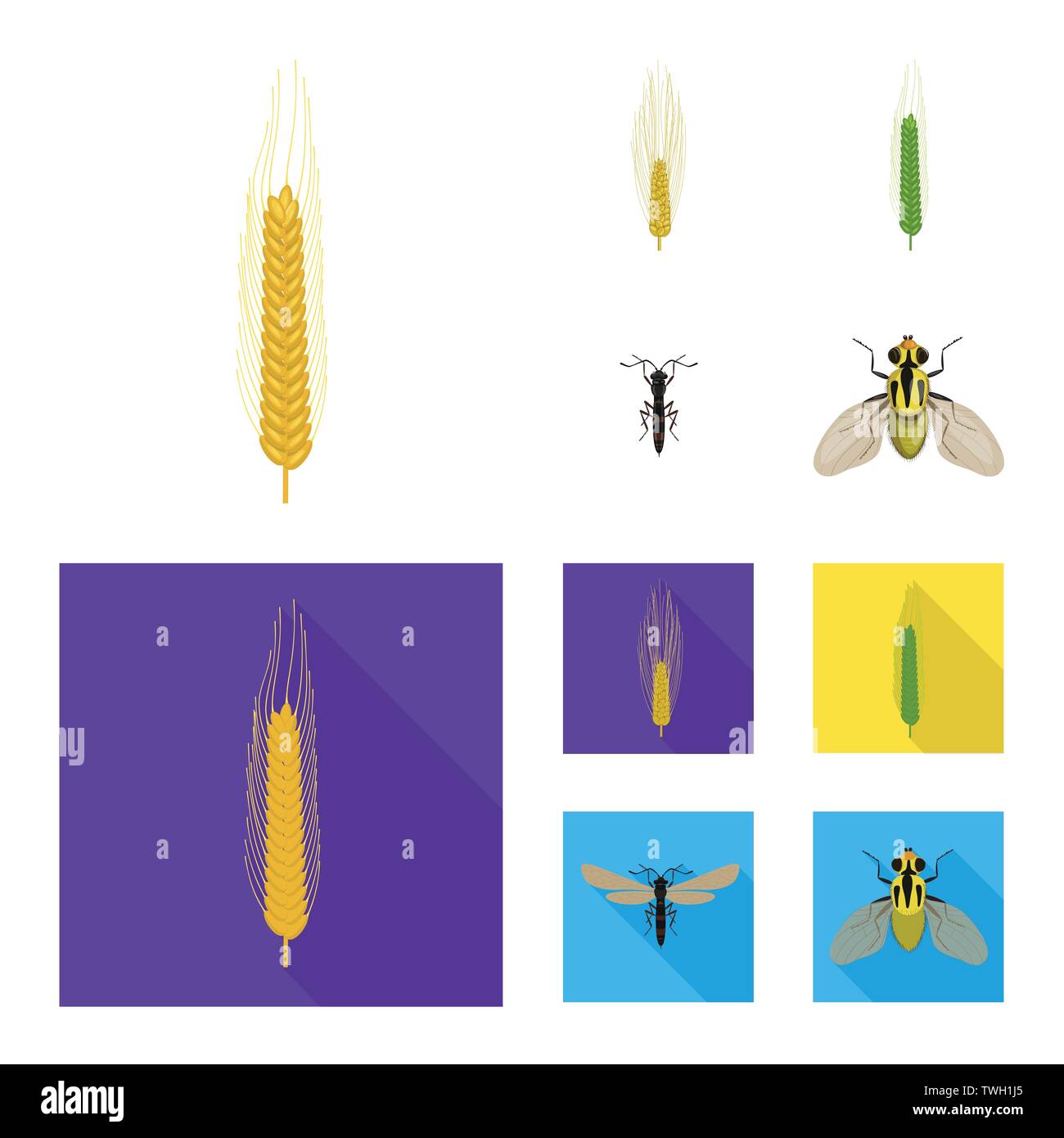 Vector Vectors Stock Vector Image & Art - Alamy