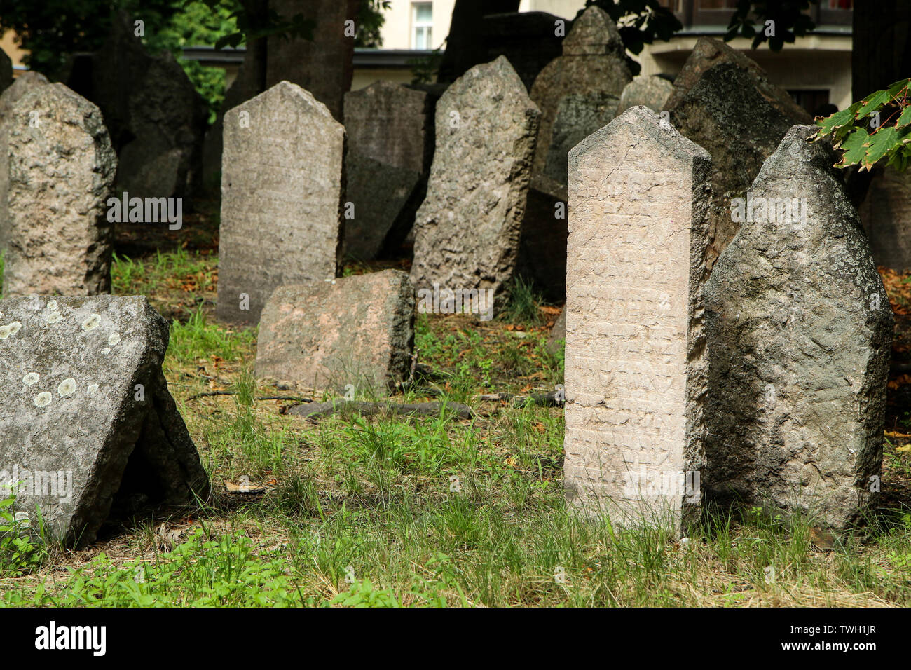The very old jewish cemetery with a lot of shabby stone tombstones ...