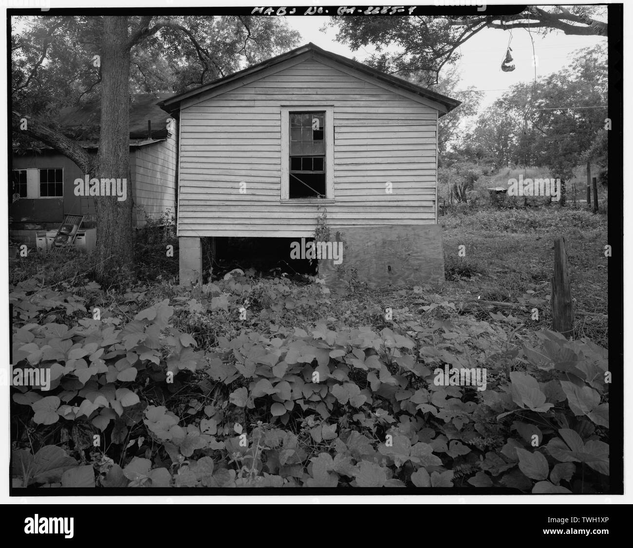 Rear side view of 304 East Jefferson Street - 304 East Jefferson Street ...