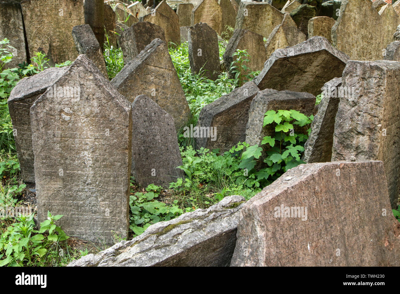 The very old jewish cemetery with a lot of shabby stone tombstones ...