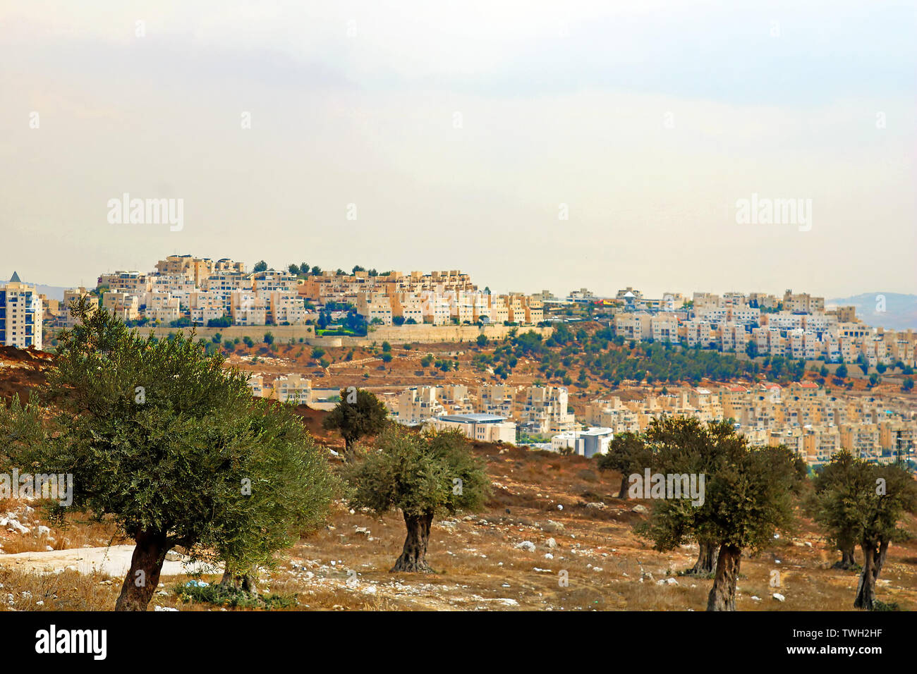Palestine slums hi-res stock photography and images - Alamy