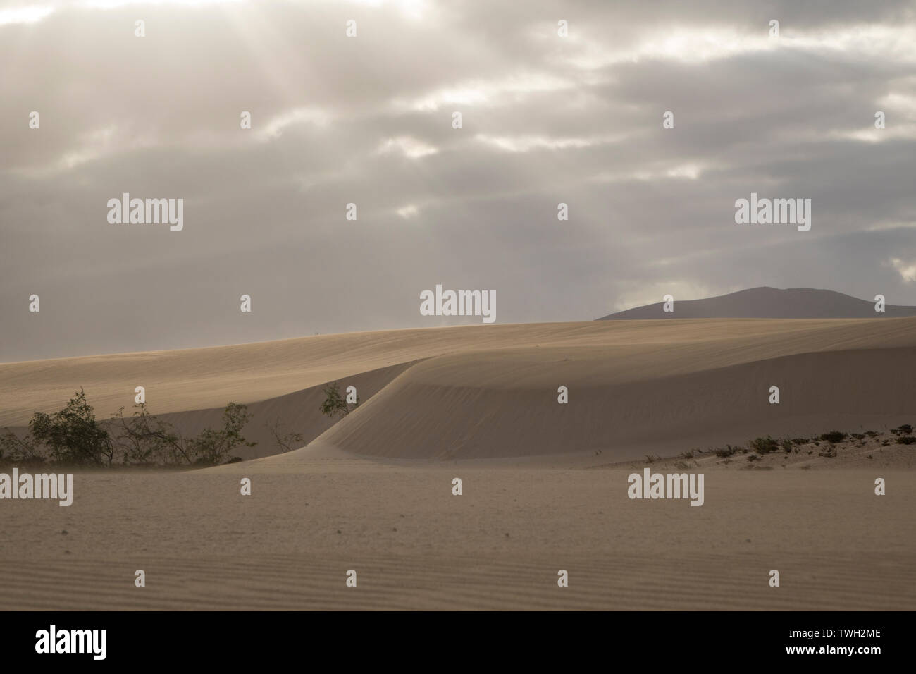 Low evening light creating beautiful textures shapes and patterns in ...