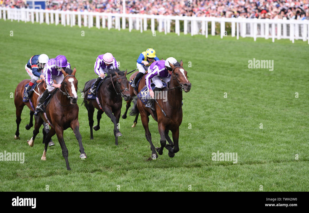 Trained by a p obrien hi-res stock photography and images - Alamy