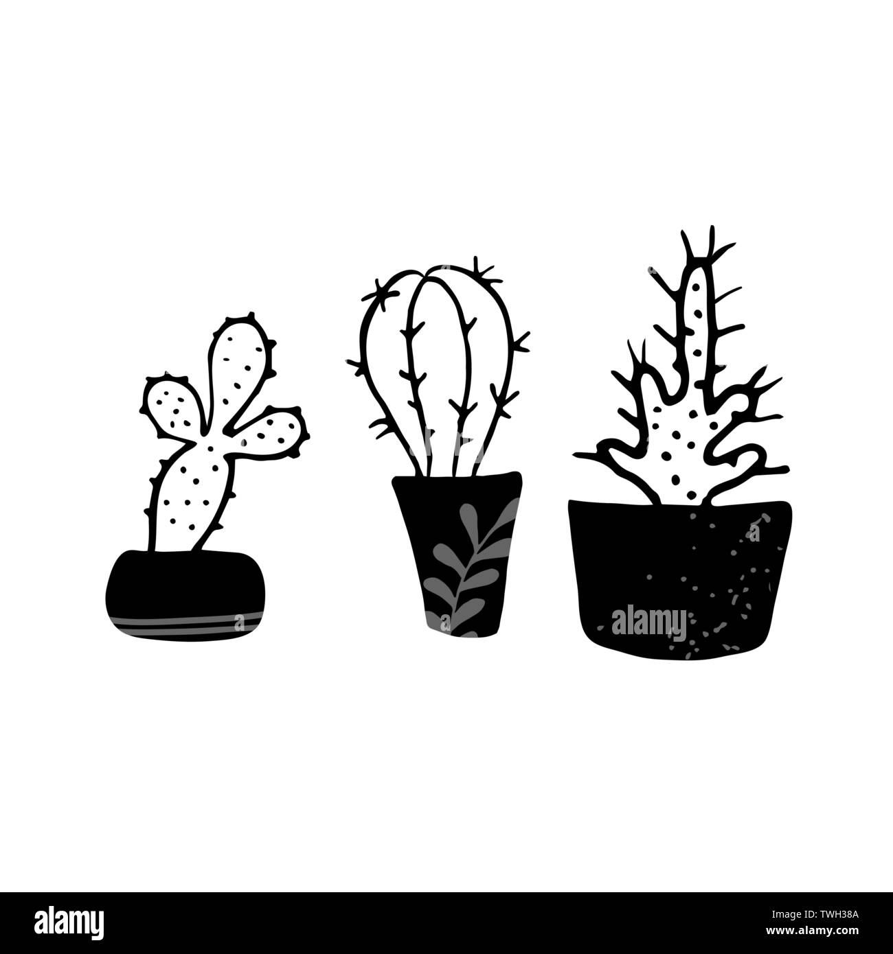 Set Of Cactuses Hand Drawn Vector Illustration Stock Vector Image