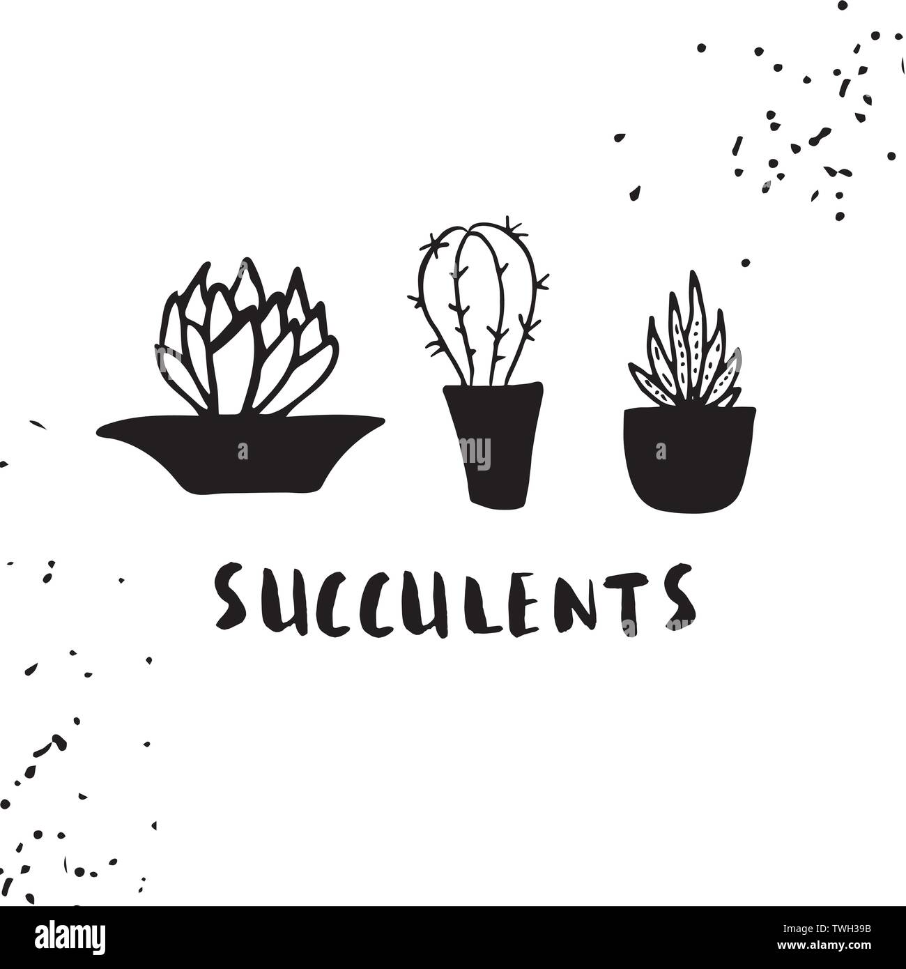 Set Of Cactuses Hand Drawn Vector Illustration Stock Vector Image